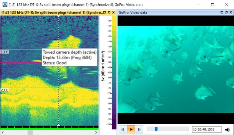Echoview 12 released, delivering an abundance for all! | Aegean Electronics